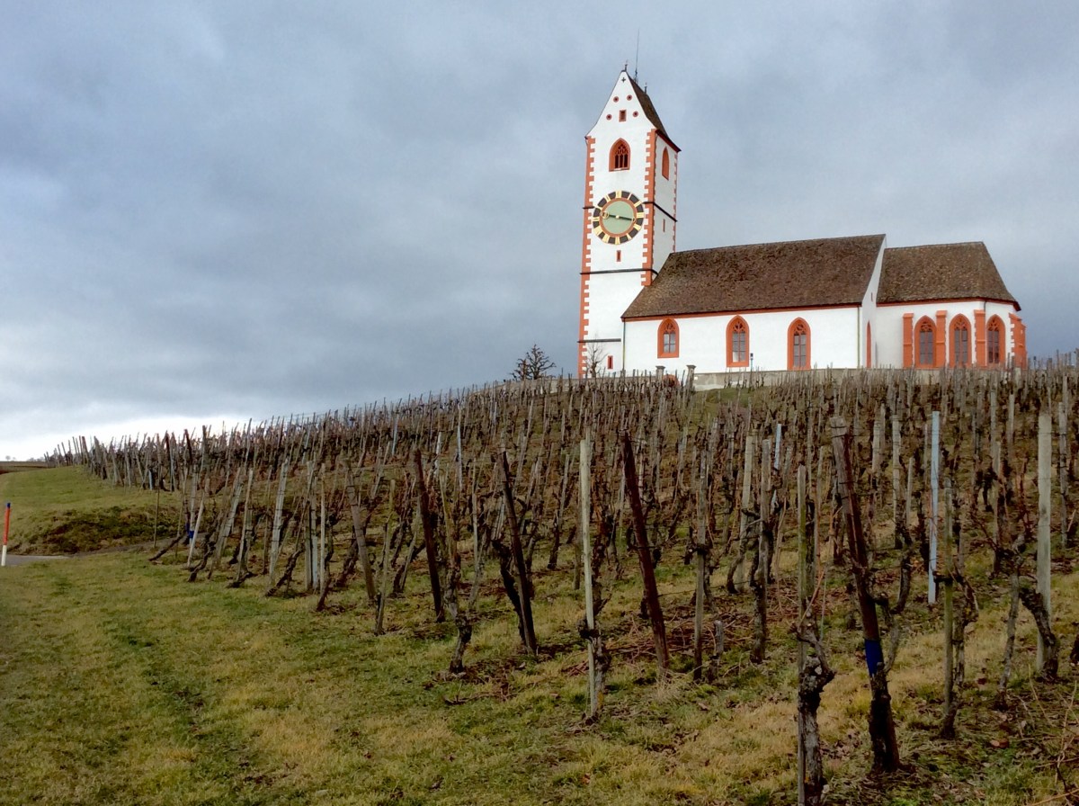 Profile: Weinbau Markus Ruch (Neunkirch, Schaffhausen) – artisanswiss