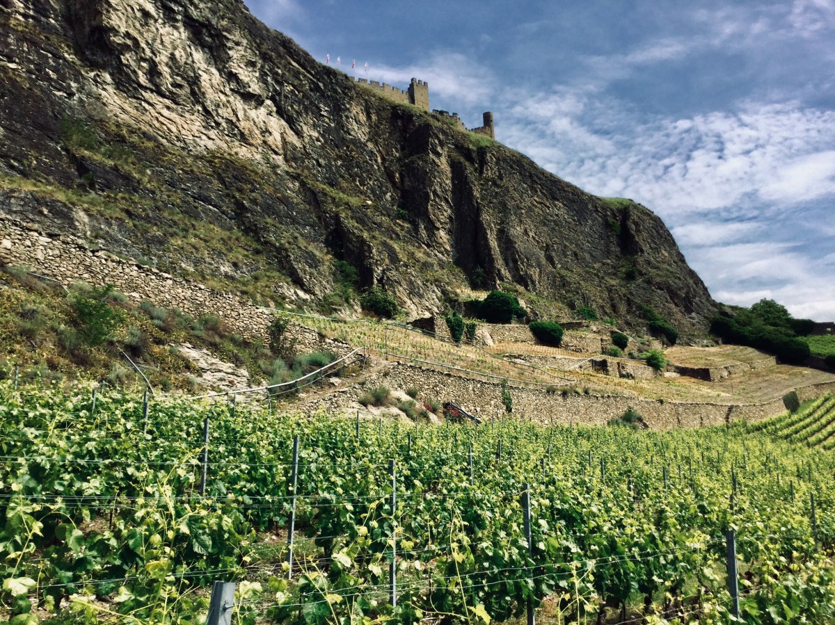 Opinion: Why I Dislike Brands and Still Champion the Consumer ...